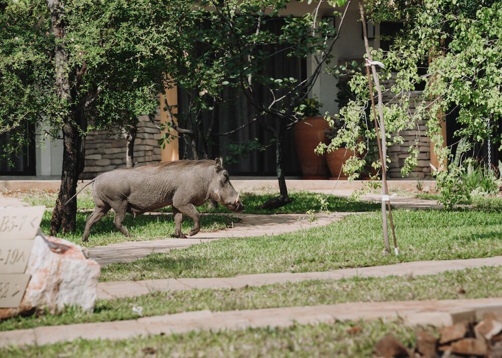 Hotel Insika Lodge, Victoria Falls - Central de Reservas