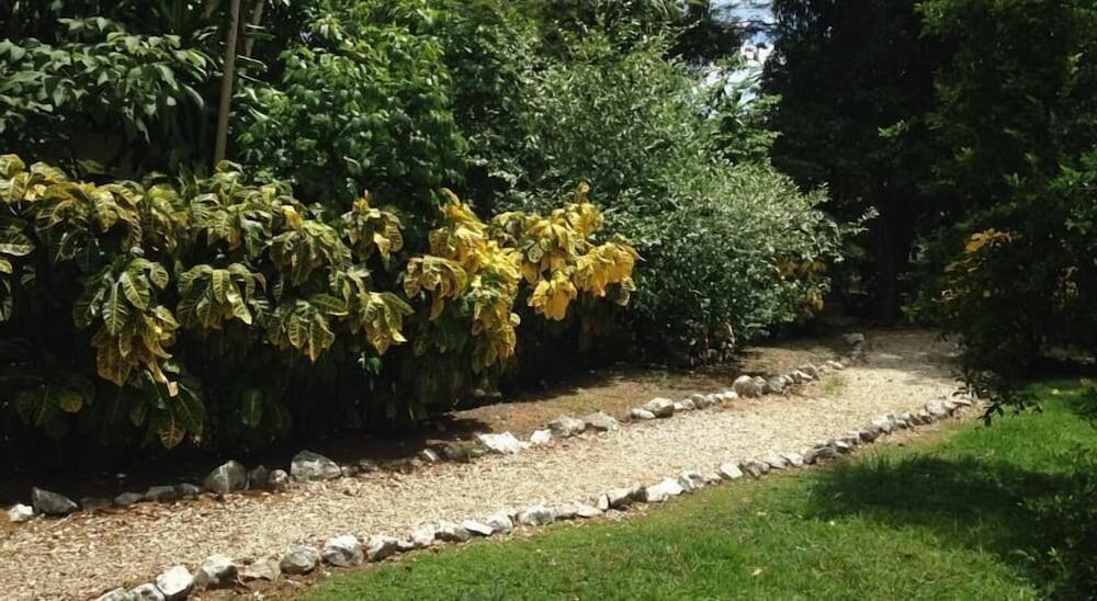 Hotel Flor de Itabo, Playas del Coco - Central de Reservas