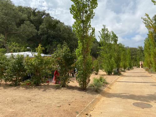 Pola Giverola Camp, Tossa de Mar - Central de Reservas