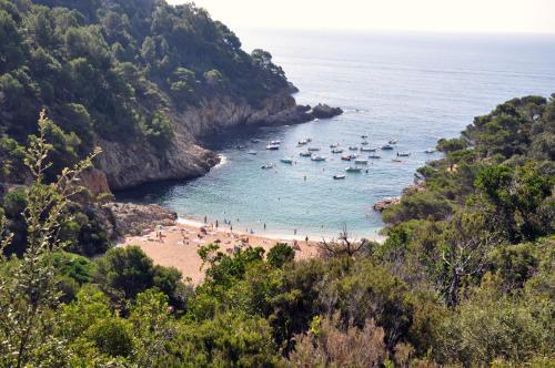Pola Giverola Camp, Tossa de Mar - Central de Reservas
