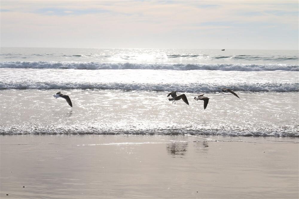 Lunja Village, Taghazout - Reserving