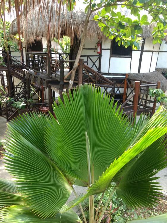 Green Tulum Cabañas & Gardens, Tulum - Centraldereservas.com