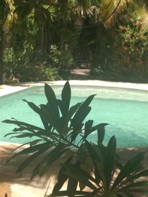 Green Tulum Cabañas & Gardens, Tulum - Centraldereservas.com