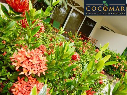 Cocomar Beachfront Hotel, Parrita - Centraldereservas.com