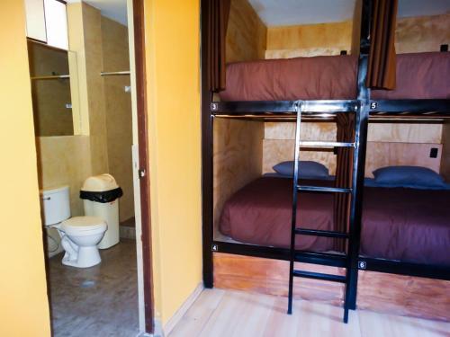 Wild Rover Hostel Huacachina, Ica - Centraldereservas.com