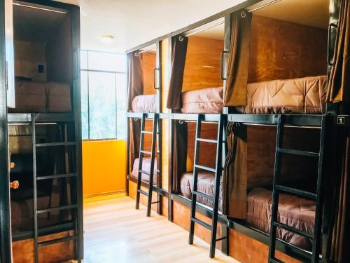 Wild Rover Hostel Huacachina, Ica - Central de Reservas