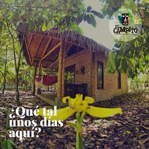 Lodges El Campito Ayampe, Ayampe - Centraldereservas.com