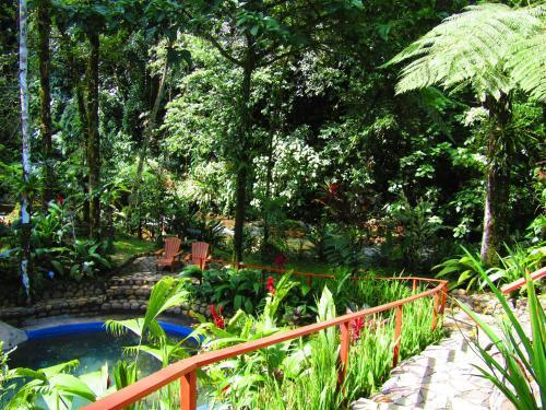 Hotel Agua Inn, Nuevo Arenal. Desde 84.82€ - Central de Reservas