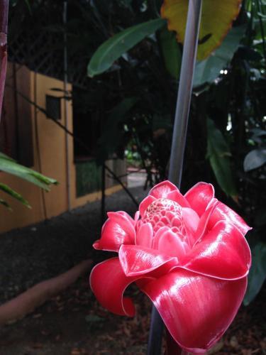 La Casa de Rolando, Puerto Viejo - Central de Reservas