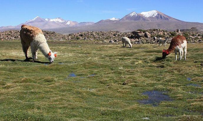 Codpa Valley Lodge, Codpa - Central de Reservas