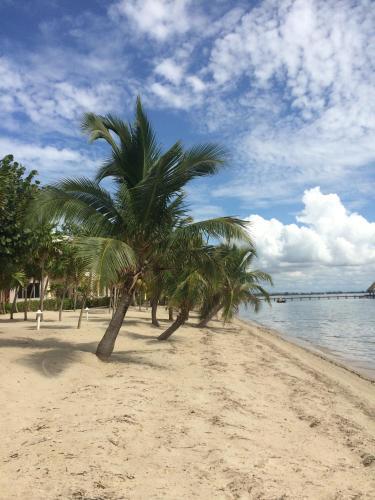 Complejo Laru Beya Resort, Placencia - Centraldereservas.com