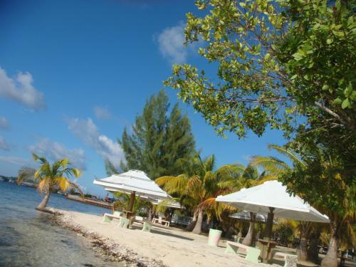 Sea Eye Hotel - Laguna Building, Utila - Centraldereservas.com