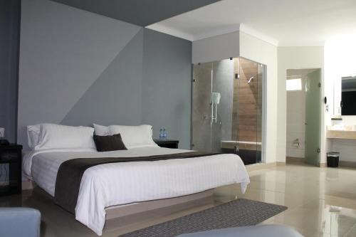 Motel Real de Queretaro, Santiago de Queretaro - Central de Reservas