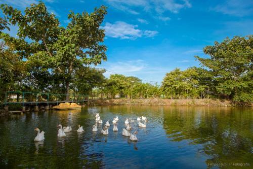 Hotel Hija del Conde, Ciudad de Panamá - Centraldereservas.com