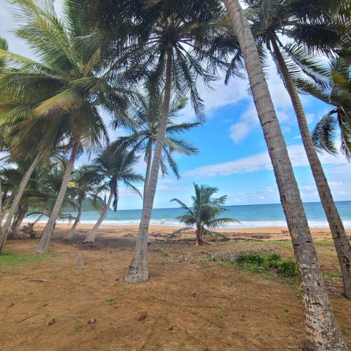 Parador Maunacaribe - Maunabo, Maunabo - Central de Reservas