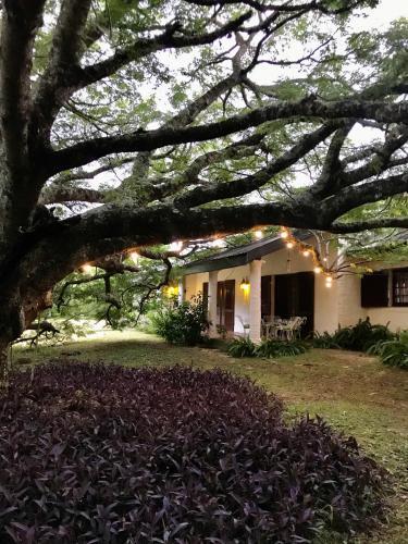 Morotí, Casa de Campo, Esquina - Central de Reservas