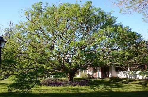 Morotí, Casa de Campo, Esquina - Central de Reservas