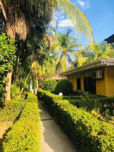 Hotel Isolina Beach, Potrero. Desde 89.27€ - Central de Reservas