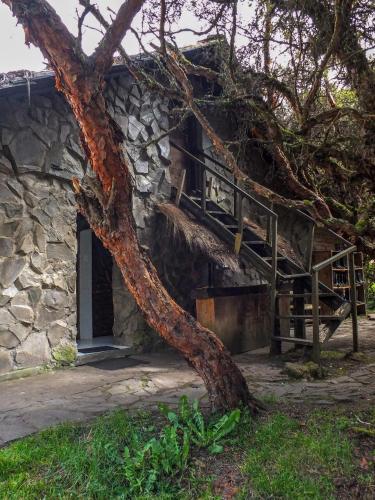 Lodges Polylepis Lodge, El Ángel - Central de Reservas