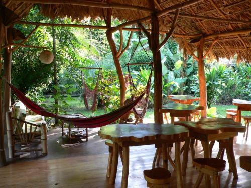 Hotel Blue Conga, Puerto Viejo - Central de Reservas