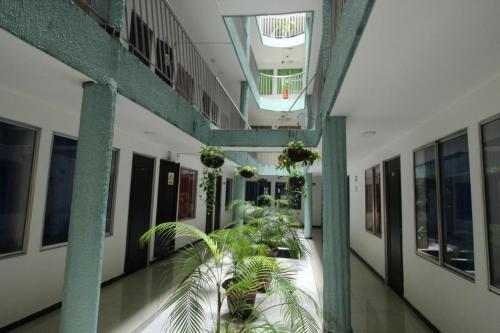 Hotel zandalo medellin, Medellín - Central de Reservas