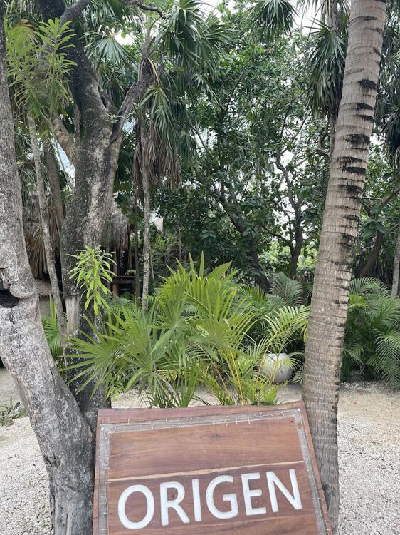 Hotel Origen Tulum, Tulum - Central de Reservas