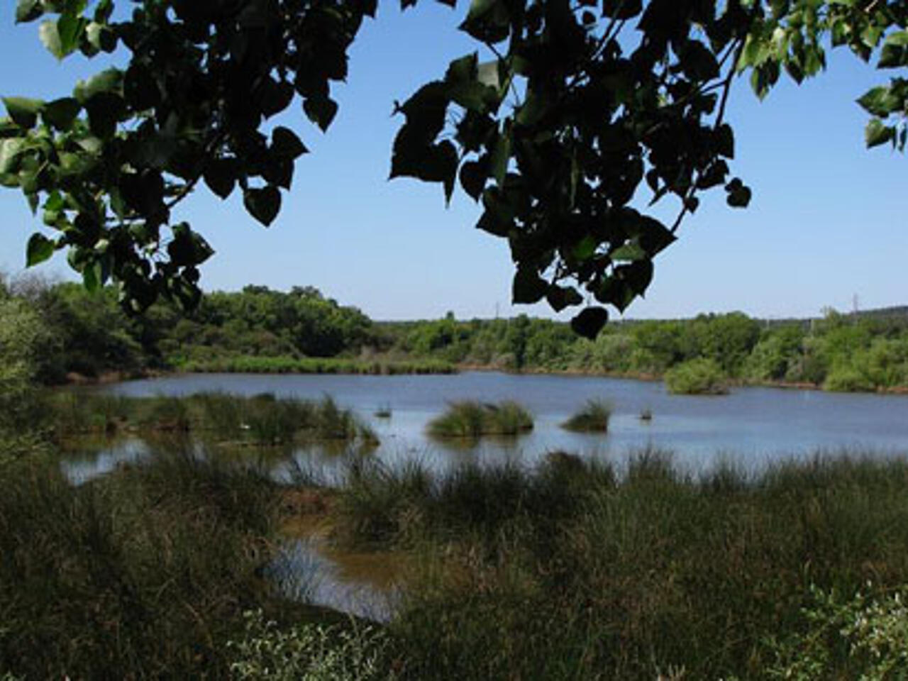 Reserva Natural do Paul do Boquilobo - Central de Reservas