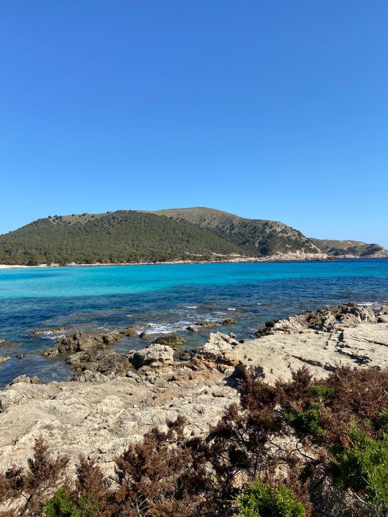Hoteles en Cala Rajada, Isla de Mallorca - Tu Hotel en ...