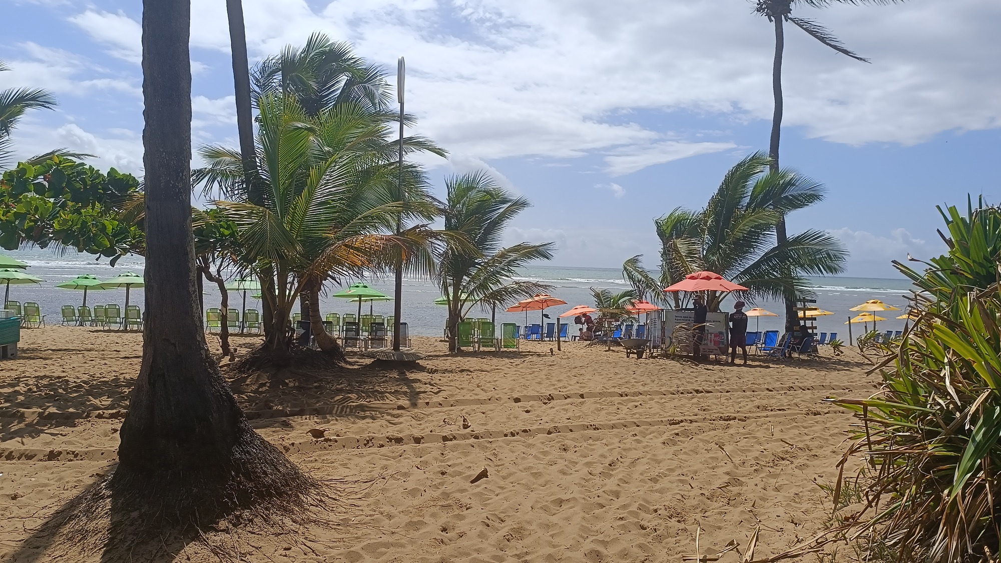 8 opiniones de viajeros sobre Praia do Forte, Bahia - Central de Reservas
